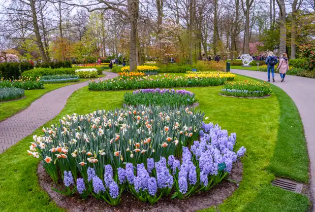 Chauffeur Service Holland Park | Chauffeur Tour Service Holland Park