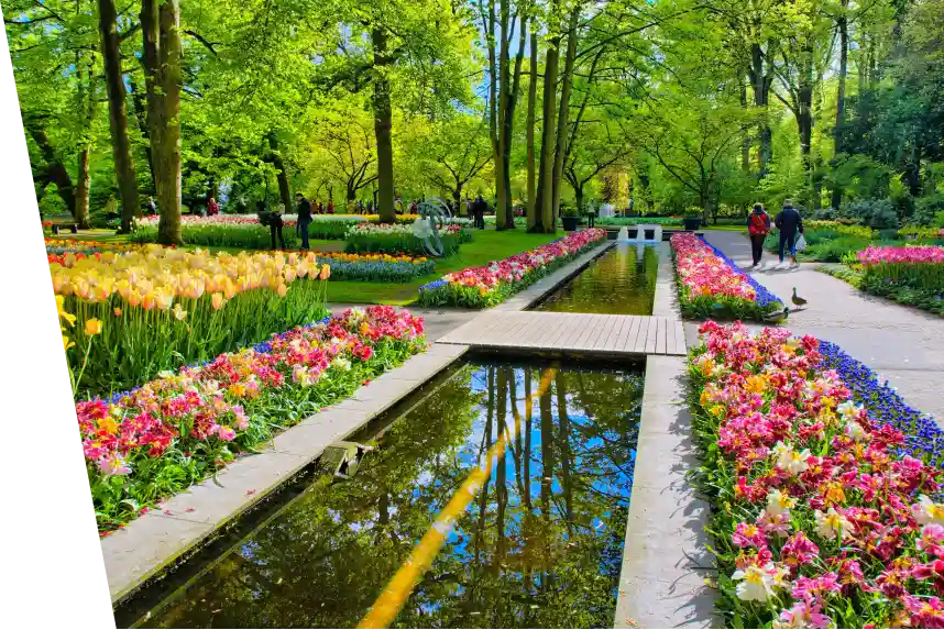 Chauffeur Service Holland Park | Chauffeur Tour Service Holland Park